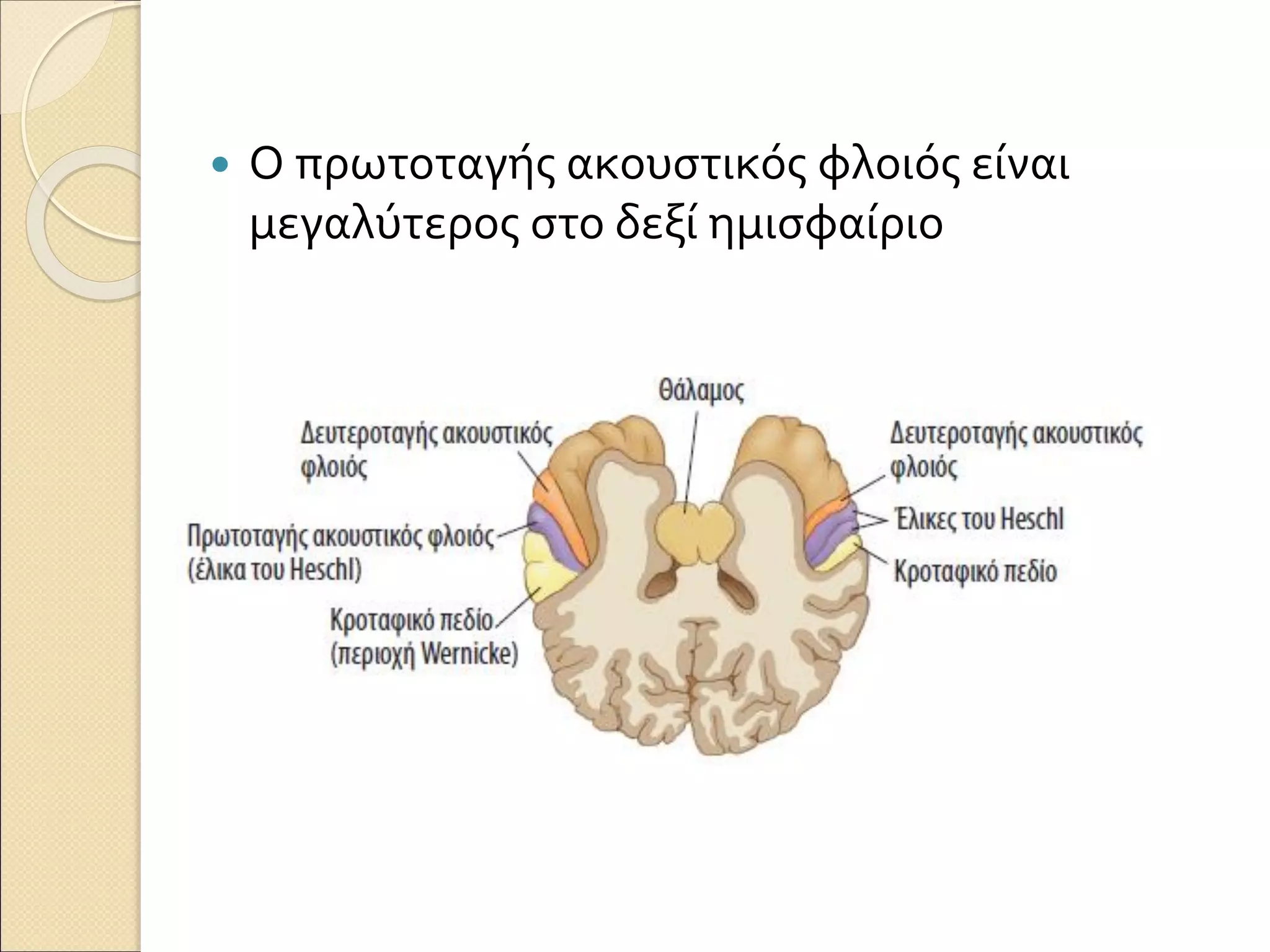 6. Cerebral asymmetry and disconnection syndromes.pdf
