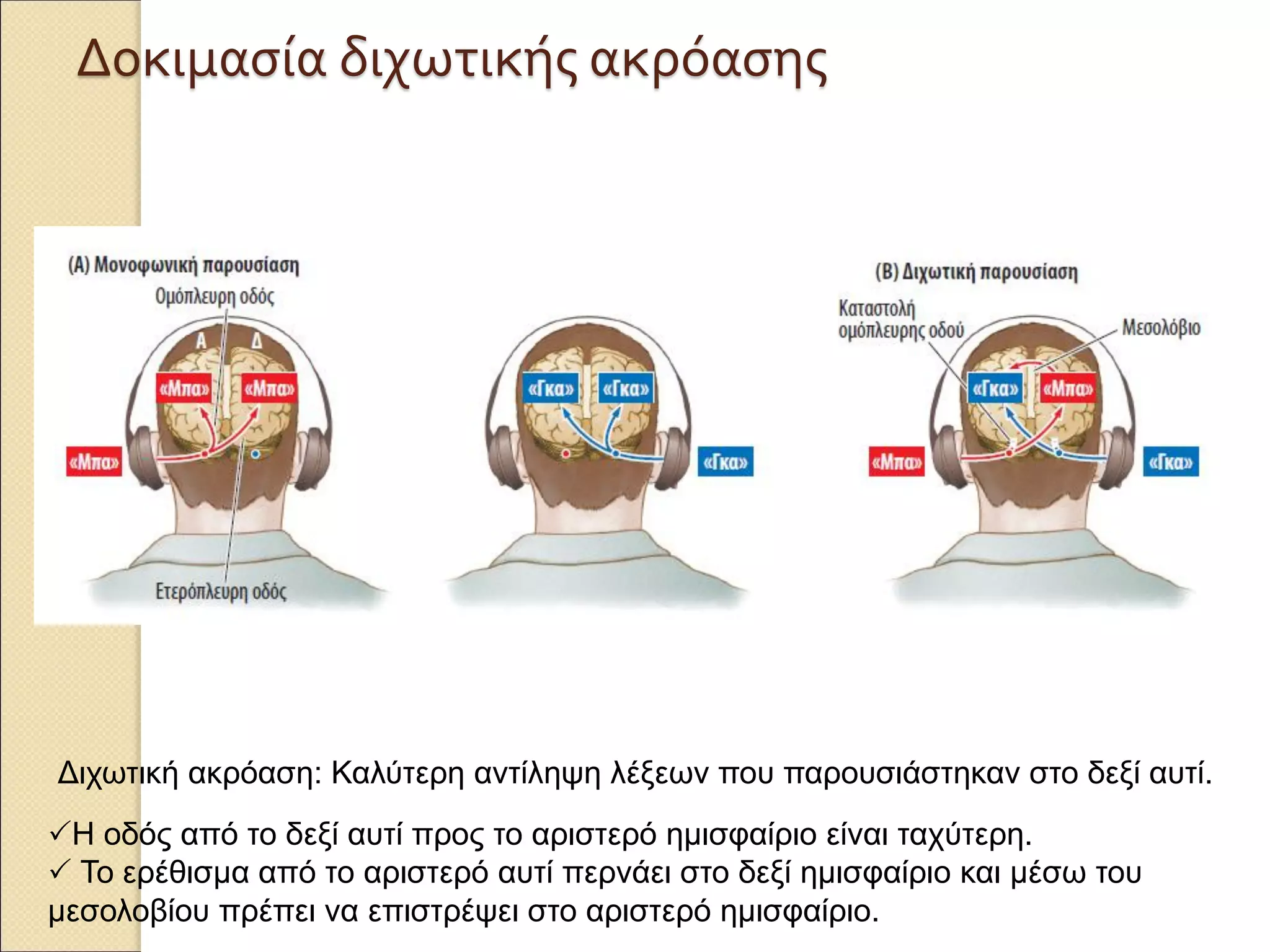 6. Cerebral asymmetry and disconnection syndromes.pdf