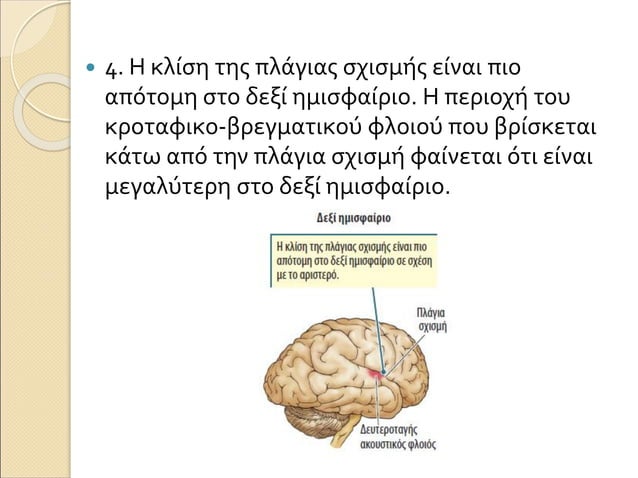 6. Cerebral asymmetry and disconnection syndromes.pdf
