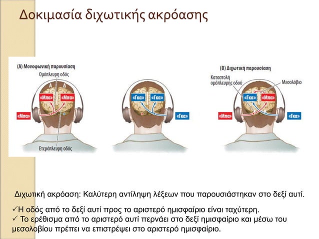 6. Cerebral asymmetry and disconnection syndromes.pdf