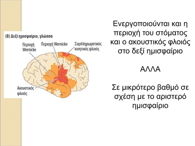 6. Cerebral asymmetry and disconnection syndromes.pdf