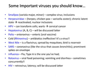 6. DNA& Herpes virus PH 2022.pptx
