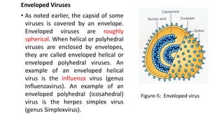 Introduction to virus | PPT