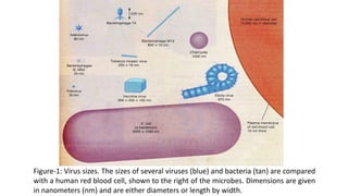 Introduction to virus | PPT