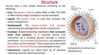 Introduction to virus | PPT