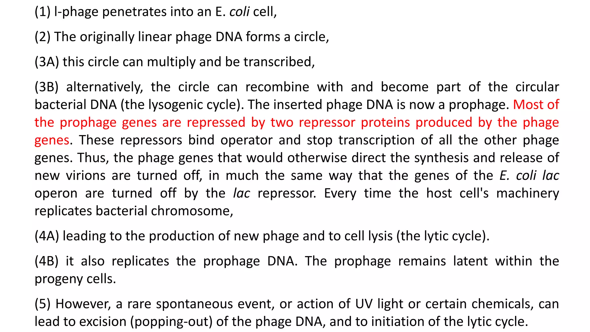 virus life cycle | PPT