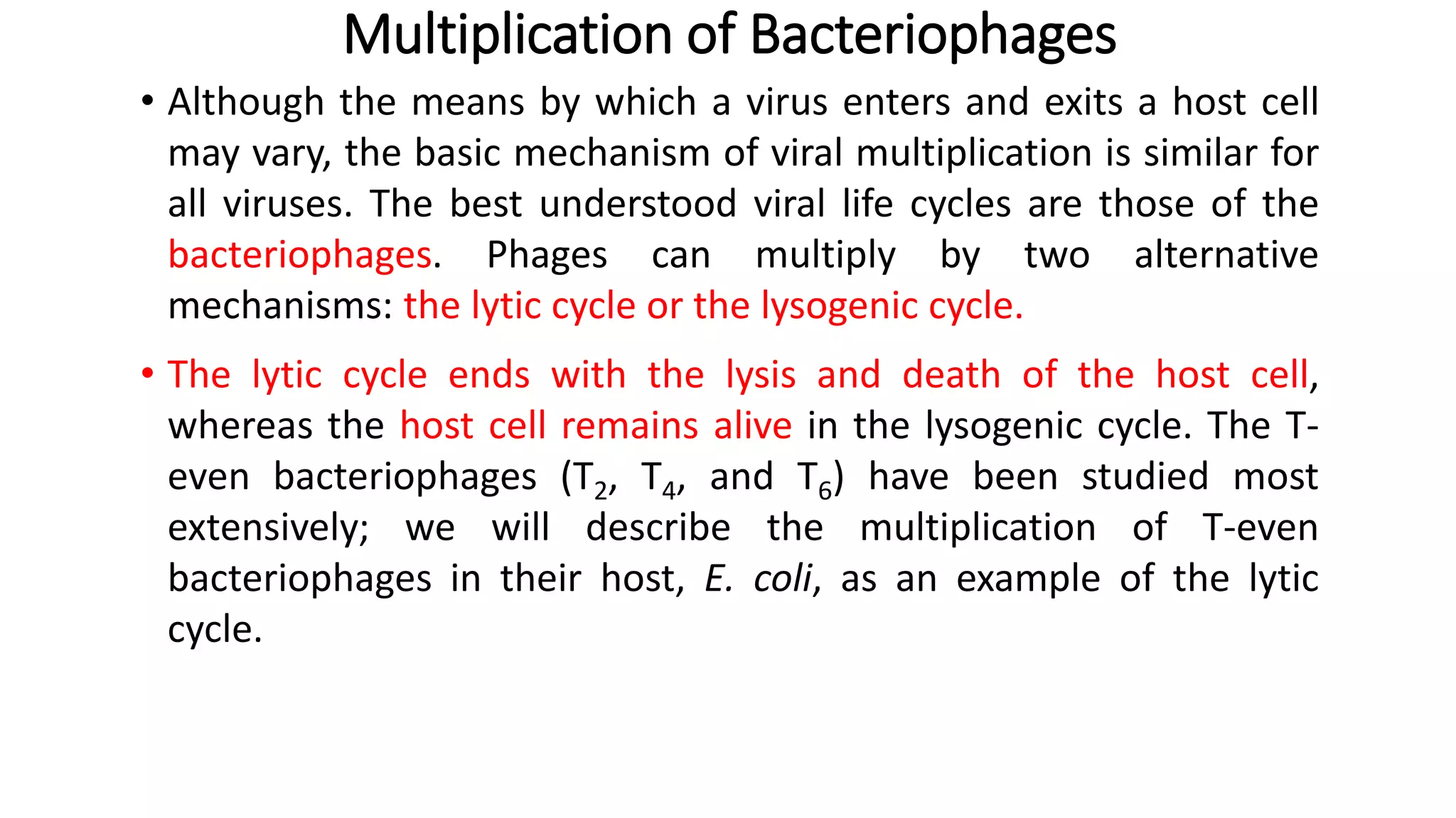 virus life cycle | PPT