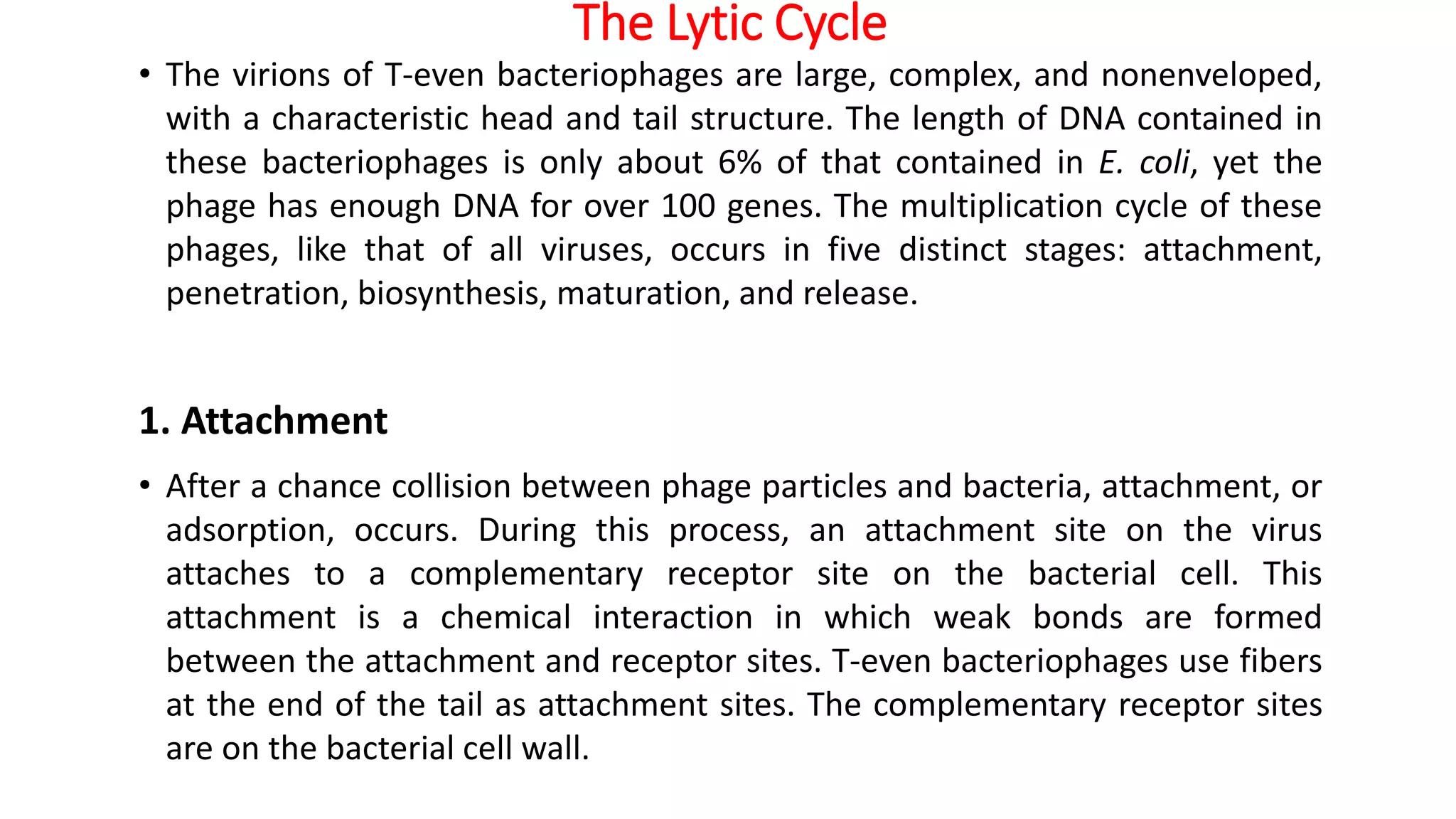 virus life cycle | PPT
