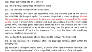 virus life cycle | PPT