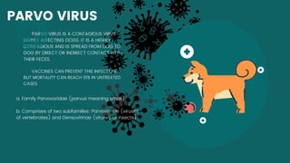 Parvovirus.pdf