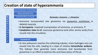 6. HEPATIC ENCEPHALOPATHY | PDF