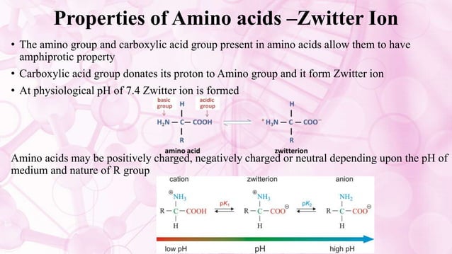 6. AMINO ACIDS.pptx | Chemistry | Science