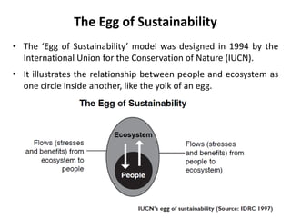 6. Models for Sustainable Development.ppt