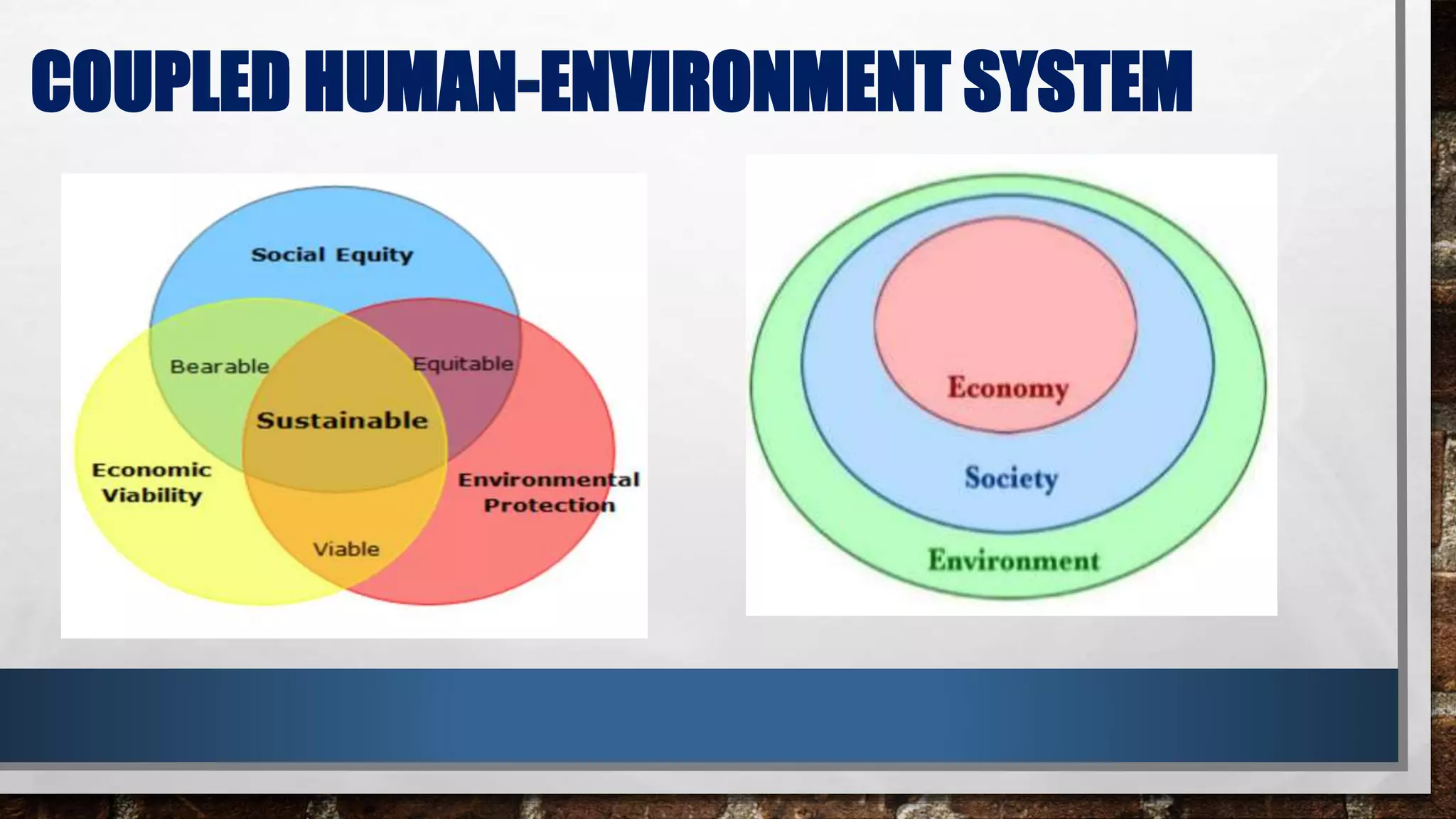 6. Human Environment System.pptx