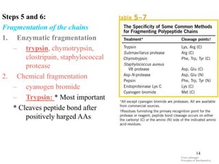 6. aa sequencing site directed application of biotechnology.ppt