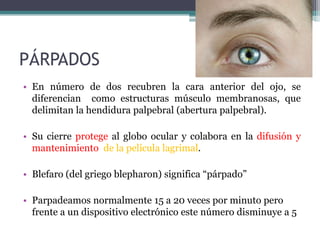 6. PÁRPADO Y VIA LAGRIMAL.pptx