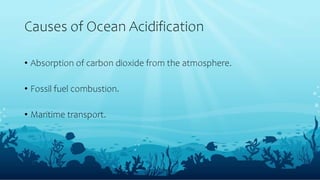 OCEAN ACIDIFICATION | PPTX