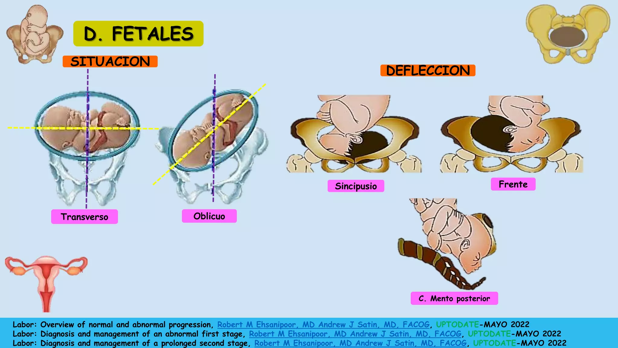 6.Distocias de TdP.pptx