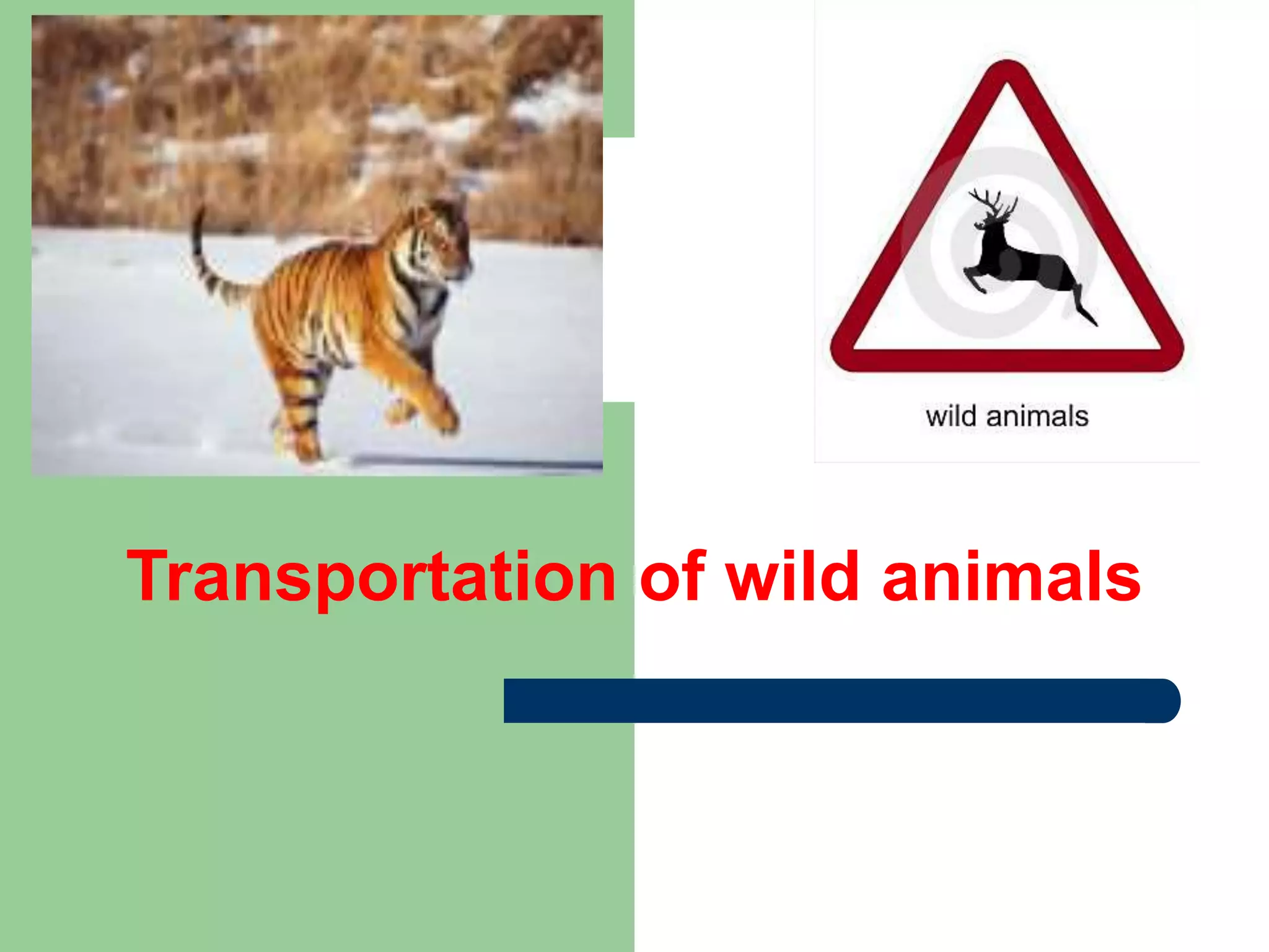 6. Transportation of wild animals.ppt