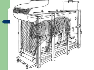 6. Transportation of wild animals.ppt | Veterinary Medicine | Pets