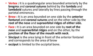 6.FETAL SKULL AND MATERNAL PELVIS FINAL.pptx