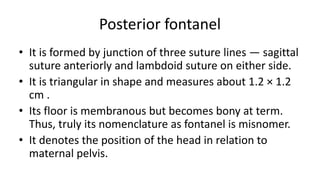 6.FETAL SKULL AND MATERNAL PELVIS FINAL.pptx