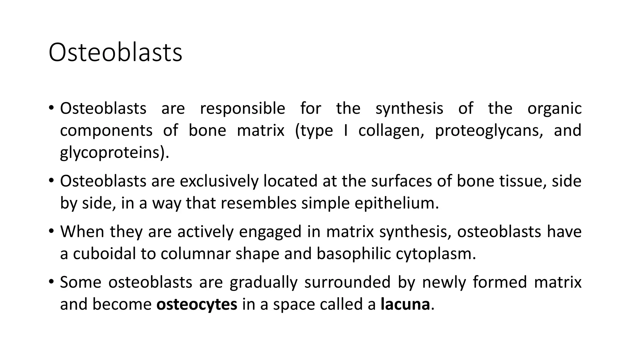 6. SPECIALISED CONNECTIVE TISSUE.pptx