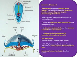 6. Third week of development review (1 part).pptx