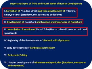 6. Third week of development review (1 part).pptx