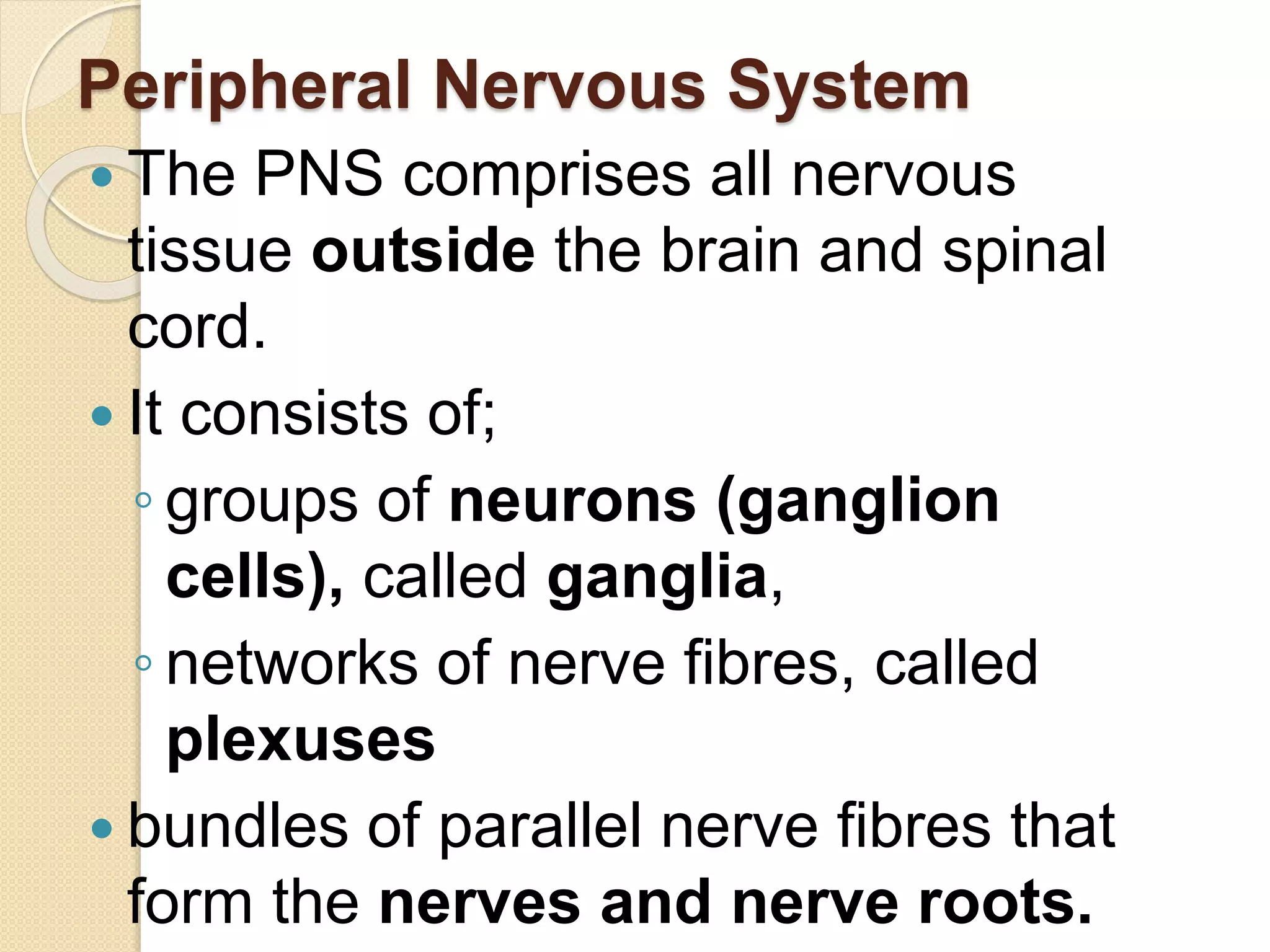 6. Nerves tissue-1.pptx