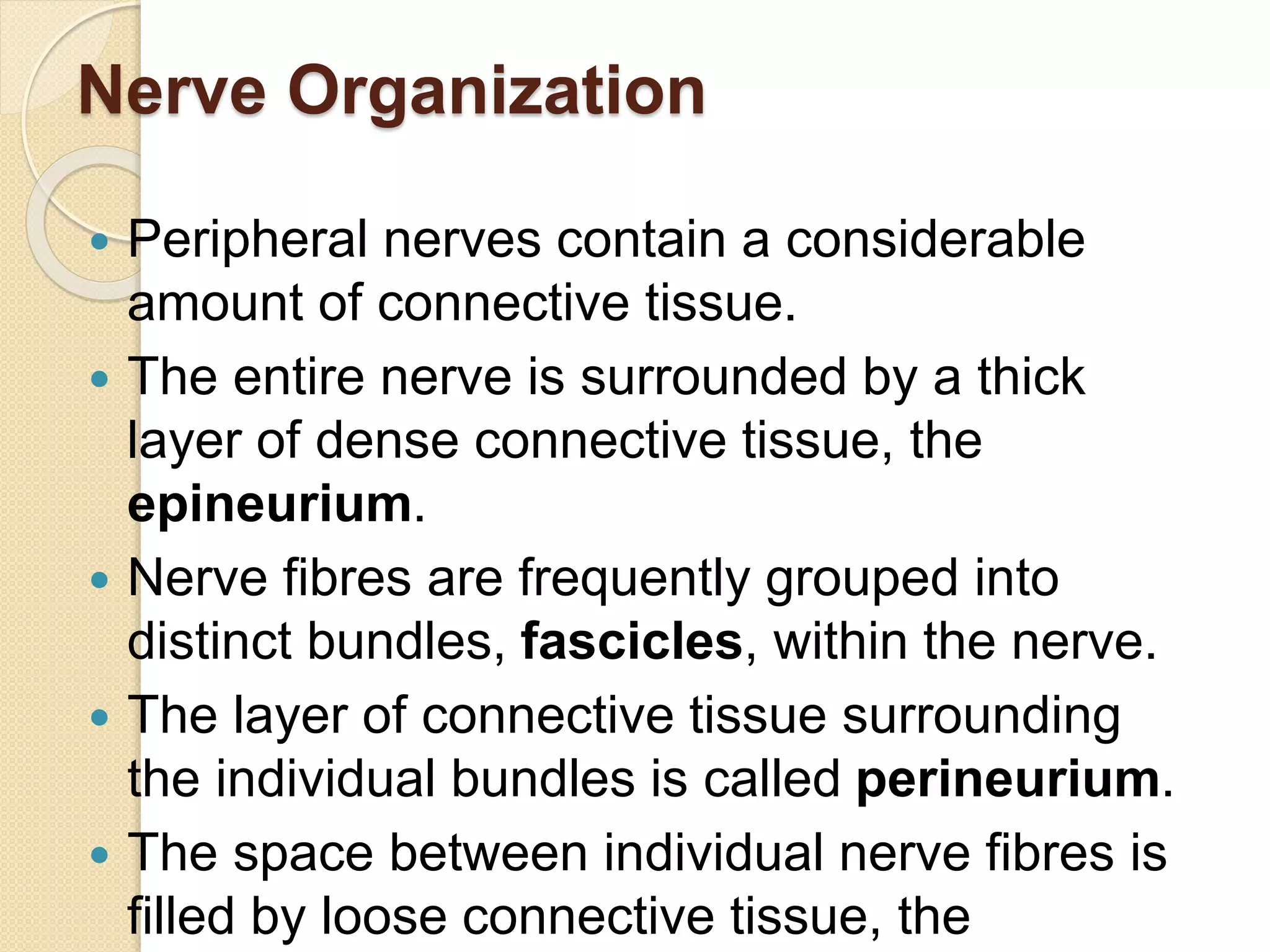 6. Nerves tissue-1.pptx