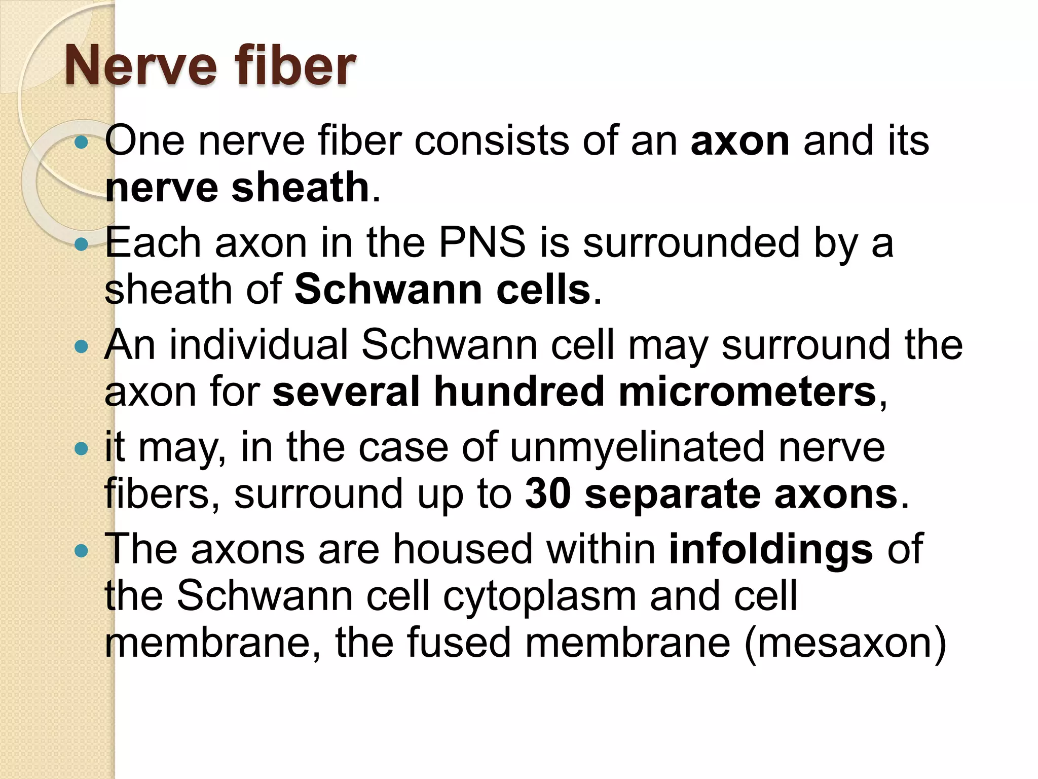 6. Nerves tissue-1.pptx
