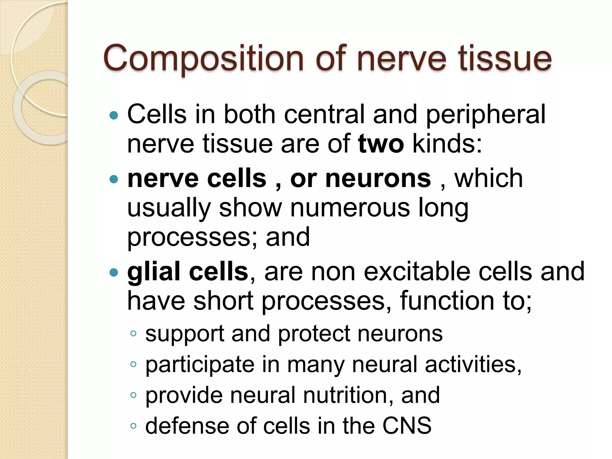 6. Nerves tissue-1.pptx