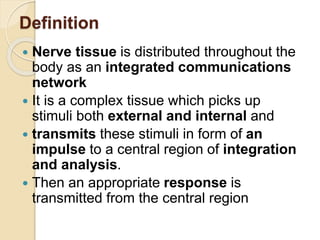 6. Nerves tissue-1.pptx