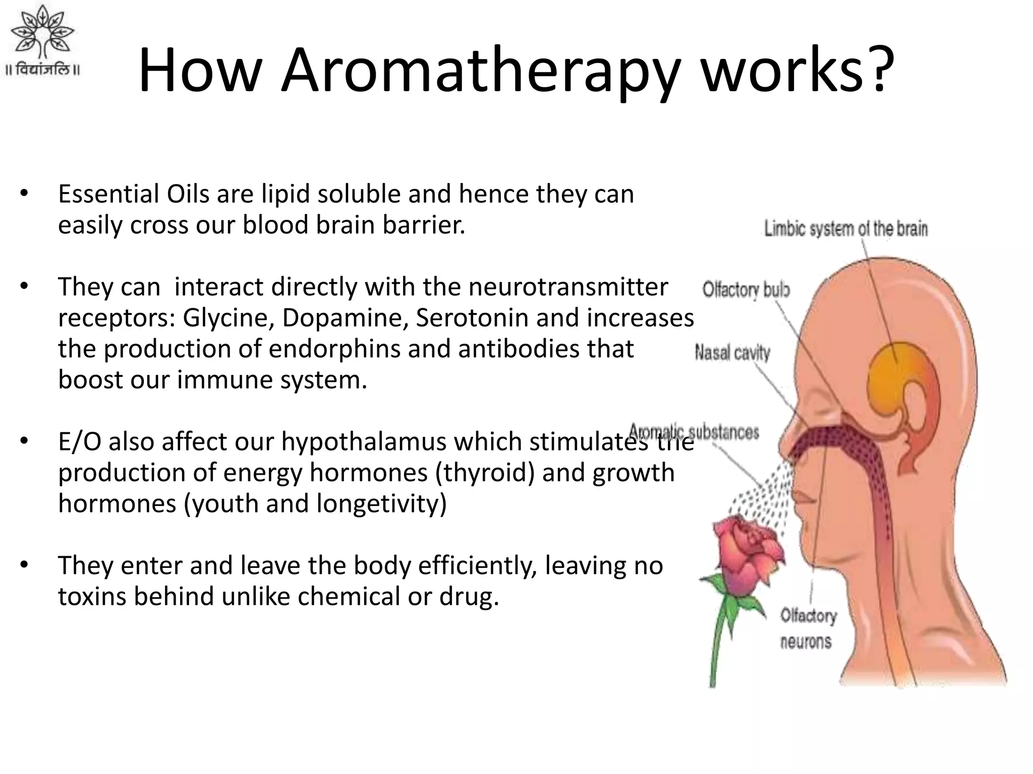 6. Aromatherapy The healing power of EO.pptx