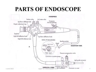 6. INDICATIONS OF UPPER GI ENDOSCOPY AND PATIENT PREPARATIONS.pptx