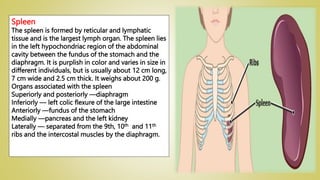 Lymph system.ppsx