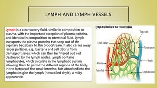 Lymph system.ppsx | Biological Sciences | Science