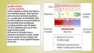 Lymph system.ppsx