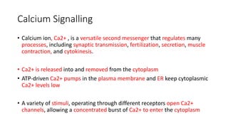 6. Signalling Mechanisms.pptx