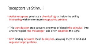 6. Signalling Mechanisms.pptx | Biological Sciences | Science