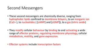 6. Signalling Mechanisms.pptx | Biological Sciences | Science