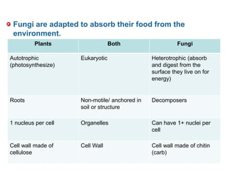 biodiversity_of_fungi.ppt