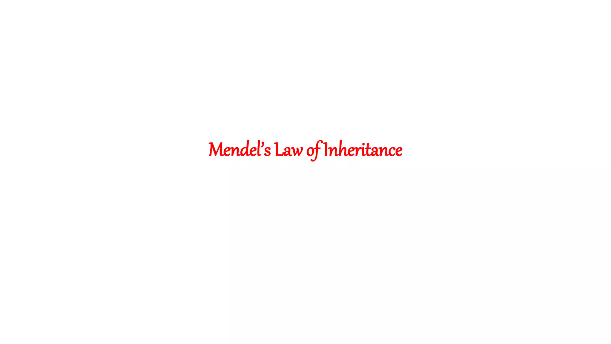 6.7.23 XII B1 - PRINCIPLES OF INHERITANCE PPT 1.pptx