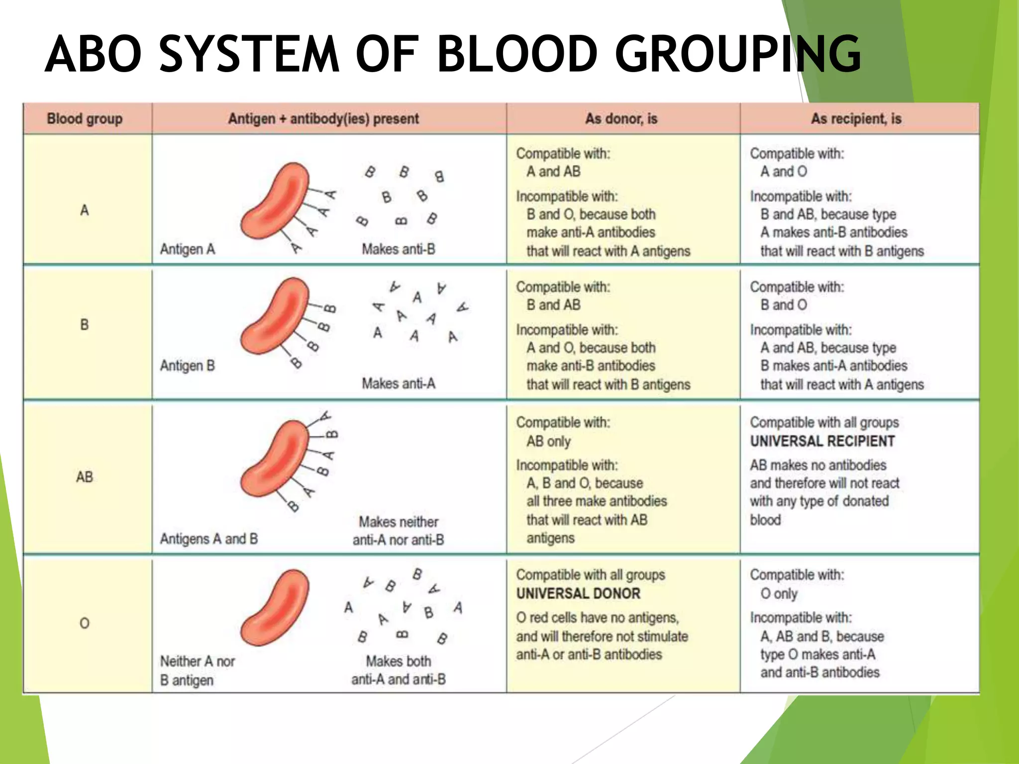 6. Blood groupnig.ppt