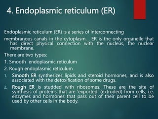 6. cell structure and functions.ppt