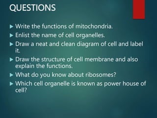 6. cell structure and functions.ppt