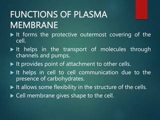 6. cell structure and functions.ppt