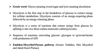 6. Glycolysis (Biochemistry) | PPTX