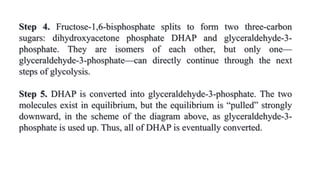 6. Glycolysis (Biochemistry) | PPTX
